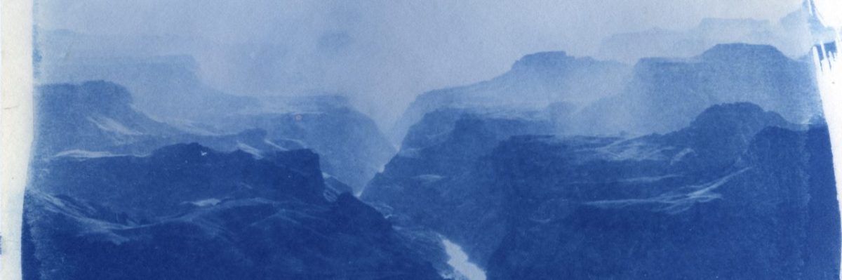 About | Susan Elizabeth Cook